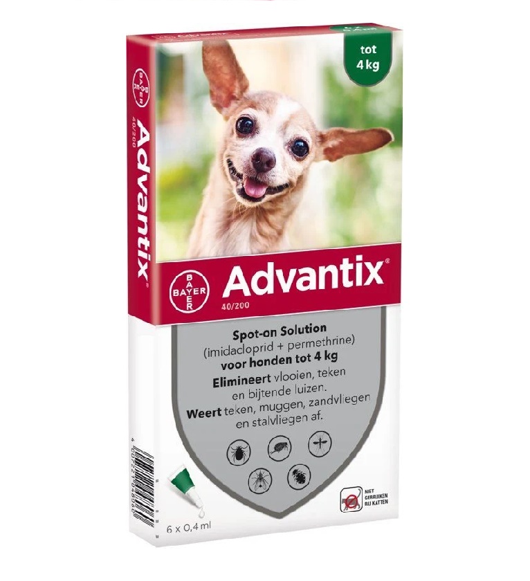 Adventuros Sticks – Algo